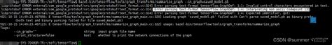tensorflow的pb模型转为onnx模型 pb转onnx csdn博客