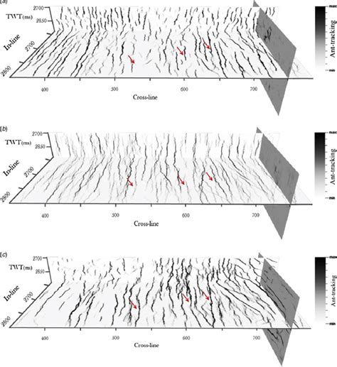 Ant Tracking Of Different Attributes A The Cross Line Dip B The Download Scientific