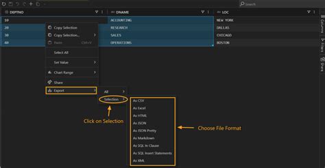 Dbcode Docs Export