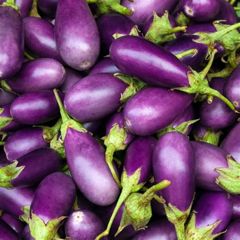 Eggplant Purple Flower Bouquet