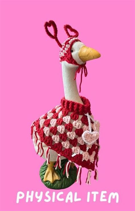 Crocheted Valentines Day Porch Goose Poncho And Heart Hat Outfit