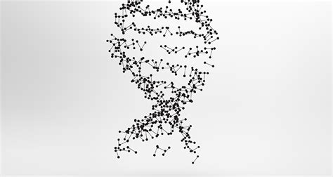 What Is The Pathophysiology Of Ocd Impulse