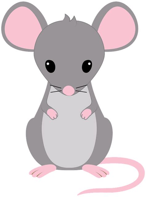 Adorable Cartoon Mouse Illustration Free Download And Usage 3218034