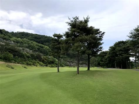 양평 Tpc 골프클럽 라운딩 후기 20240530 Bk Life