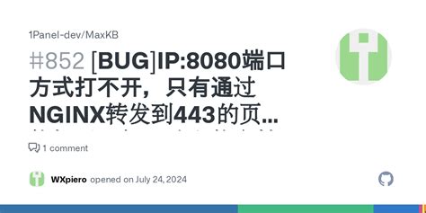 Bug Ip8080端口方式打不开，只有通过nginx转发到443的页面能打开，但无法上传文档 · Issue 852 · 1panel