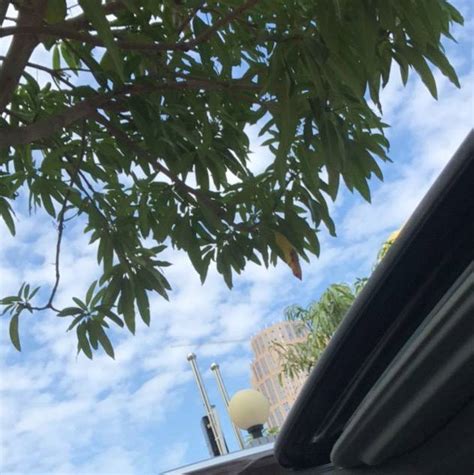 正史中曹操、刘备、孙权各自用什么兵器？关羽、张飞呢手戟三国演义青龙偃月刀