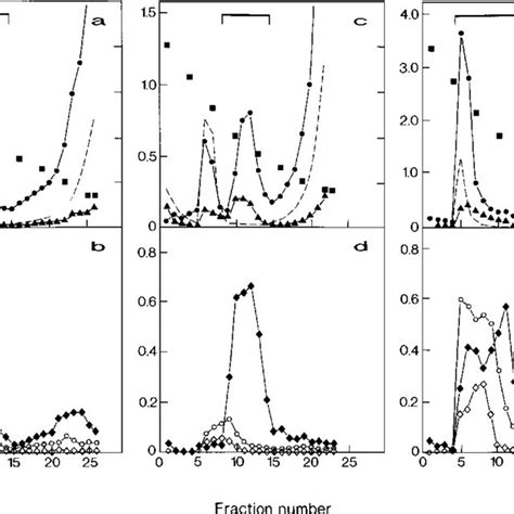 Isopycnic Density Gradient Centrifugation In Cscl 4 M Guanidinium Download Scientific Diagram