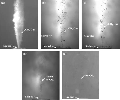 Photographs Of Co2 Leakage On The Seabed When The Hydrate Saturation Is Download Scientific