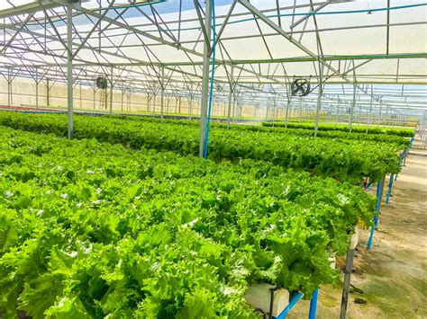 មកស្គាល់ក្រុមហ៊ុនបុត្រសម្ព័ន្ធទាំង៧ នៃក្រុមហ៊ុន សូគីម៉ិច អ៊ិនវេសមេន គ្រុប របស់អ្នកឧកញ៉ា សុខ គង់