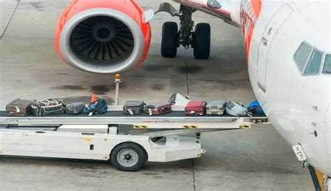 Mujer Perdió La Vida Cuando Su Cabello Se Enredó En La Máquina De Cargar Equipaje Eeuu