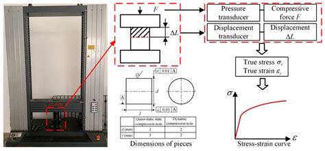 Schematic Diagram Of Quasi Static Compression Test Device Download Scientific Diagram
