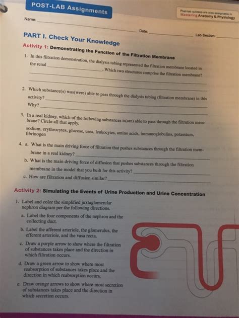 Solved Post Lab Assignments Mastering Anatomy And Physiology