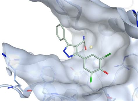Putative Binding Mode Of 15m Found By Docking To The Active Site Of