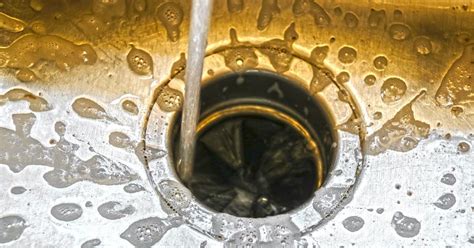 All About Preventing Clogs In Your Homes Garbage Disposal