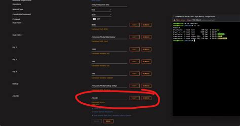 Hardware Transcoding Intel 13th Gen Unraid Docker Generalwindows