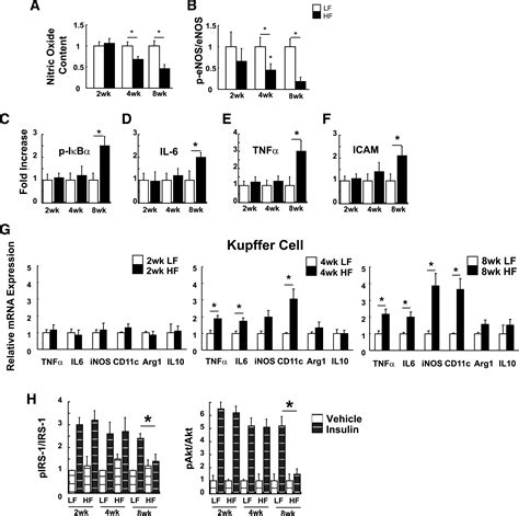 Endothelial Nocgmpvasp Signaling Attenuates Kupffer Cell Activation