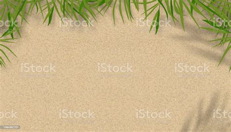 모래 질감 배경에 그림자가있는 야자수 잎의 상단보기 벡터 일러스트 레이 션 플랫 누워 코코넛 가지가있는 최소 열대 잎은 휴일 여름 배경을위한 복사 공간이있는 갈색에 나뭇잎을