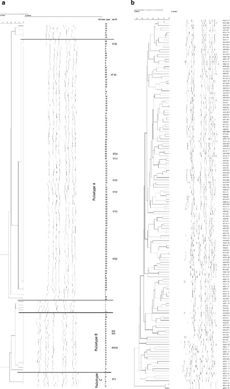 Pfge Patterns Of The Mrsa Strains A And The Mssa Strains B