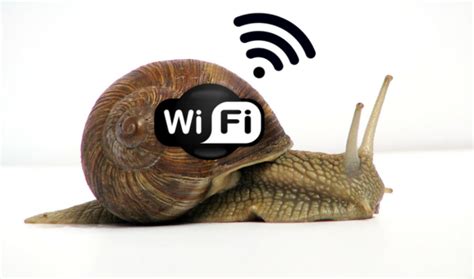 Fix Slow Wi Fi While Working From Home Apply These Tricks