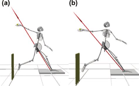 Force Vector Drawing