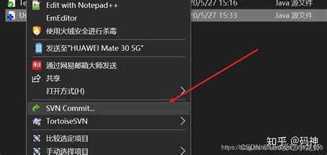 初入职场svn使用教程，保姆级 Csdn博客
