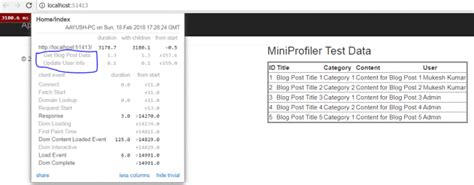Performance Check With MiniProfiler In ASP NET MVC