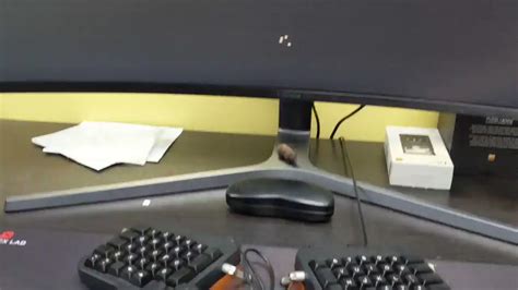 Best Windows Updates Images On Pholder Pcmasterrace Softwaregore And Linuxmemes