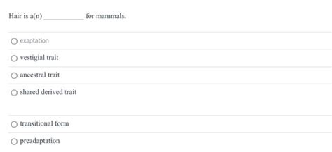 Solved Hair Is An For Mammals Exaptation Vestigial Trait