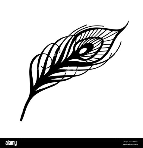 Peacock Feather Vector Firebird Feather Forged Element Isolated Over White Background Stock