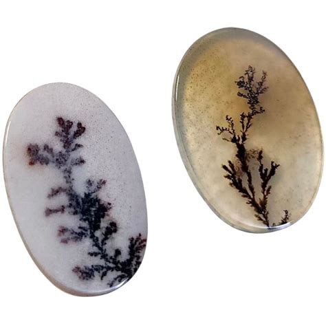 The 22 Different Types Of Agate With Photos