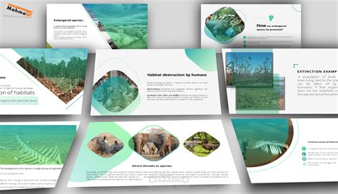 عرض تقديمي احترافي بوربوينت تعليمي للمرحلة الجامعية مستقل