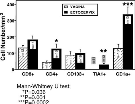 Comparative Abundance Of Intraepithelial Immune Cells In Noninflamed Download Scientific