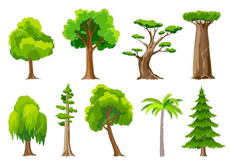 Premium Vector Trees Collection Eco Concept Of Nature Plant Vector Flat Green Forest Tree