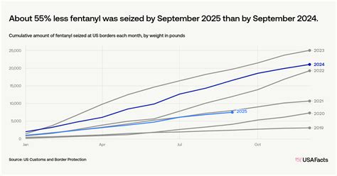 How Much Fentanyl Is Seized At Us Borders Each Month Usafacts