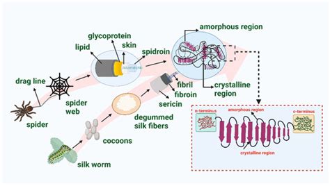 Silk Based Biomaterials For Designing Bioinspired Microarchitecture For Various Biomedical