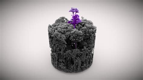 Emergent Tree In Yangambi Drc 3d Model By Cavelab Ghent University Cavelabugent Emergent Tree In Yangambi Drc 3d Model By Cavelab Ghent University Cavelabugent