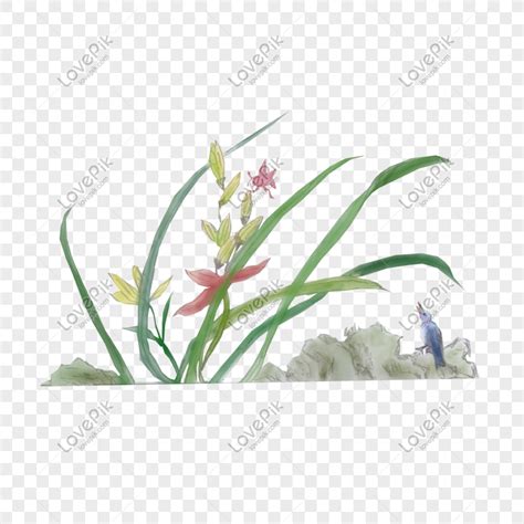 만화 손으로 그린 중국 스타일의 수채화 7 성급 꽃 무료 抠 Png Png 일러스트 무료 다운로드 Lovepik