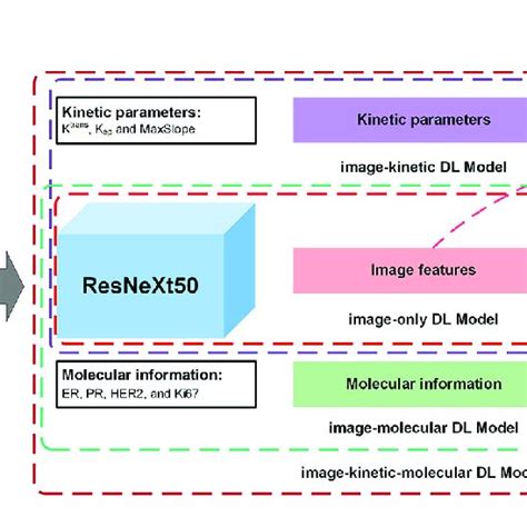 The Framework For Building Deep Learning Based Predictive Models