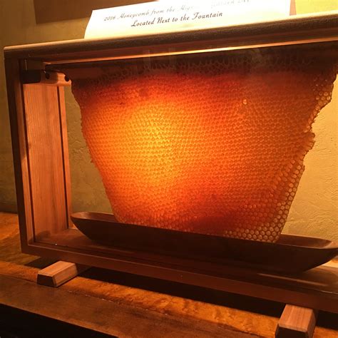 Glass Honeycomb Display Golden Mean Hive Or Eu National 17 18 Bars Backyardhive