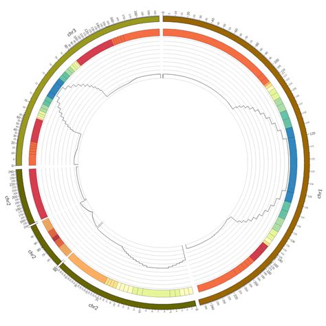 Tutorial Images CIRCOS Circular Genome Data Visualization
