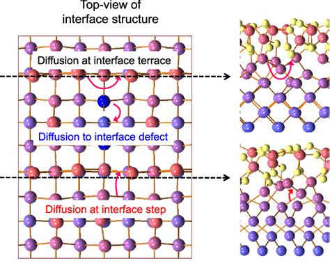 Schematic Diagram Showing Typical Diffusion Processes At The Interface Download Scientific