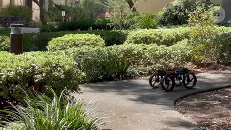 Surman Ali On Linkedin Robots Are Often Designed For A Particular Purpose But What If They Could…