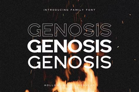 25 best coding fonts to boost your programming projects font burst