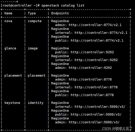【openstack Train安装】九、nova安装 Csdn博客