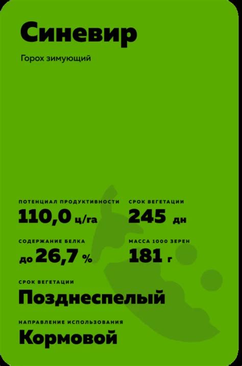 Синевир - горох зимующий. Характеристики и отзывы