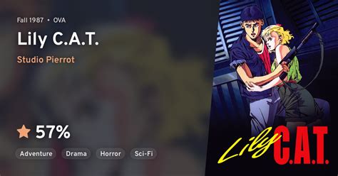 Lily C A T Lily C A T Anilist