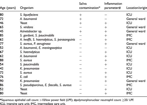 Aerobic Bacterial Cultivation Result And Microscopic Characteristics Of