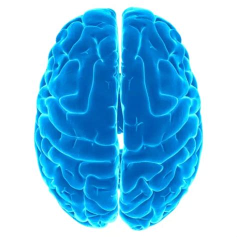 Download Logical Tests Latest Version 12 14 Apk On