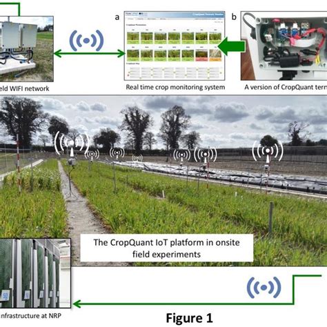 Pdf Cropquant An Automated And Scalable Field Phenotyping Platform