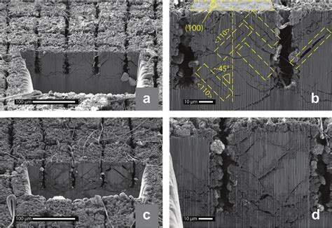Scanning Electron Micrographs Of The Si Anode Towers After A B 100 Download Scientific Diagram